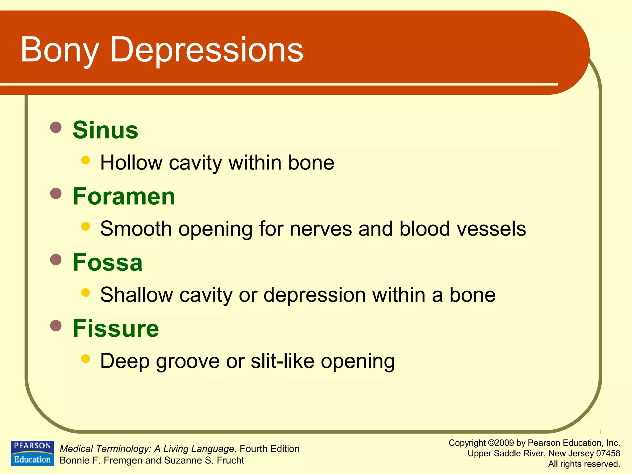 Ch04 musculoskeletal system | PPT