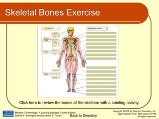 Ch04 musculoskeletal system | PPT