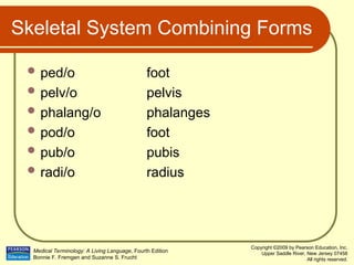 Musculoskeletal system in anatomy and medical terminalogy | PPT