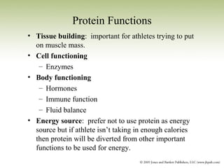 Sports Nutrition_Chapter 5_Protein | PPT