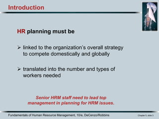 ch05.ppt HR/ Effective Job Analysis in HRM | PPT