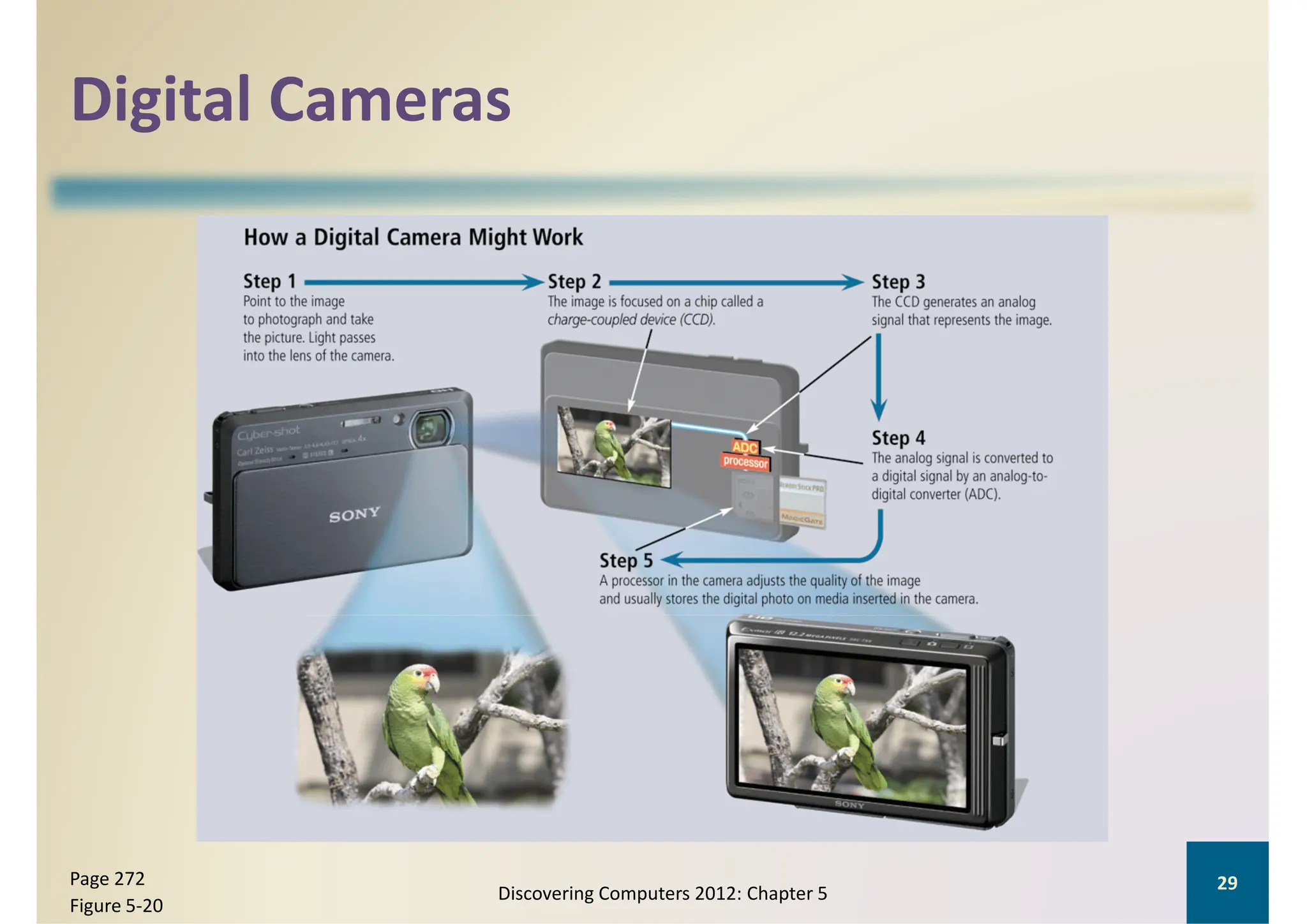 introduction to computer by shellay cashman .ppt