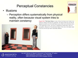 Lecture3:Chapter5-Perception..Dr.Anna
