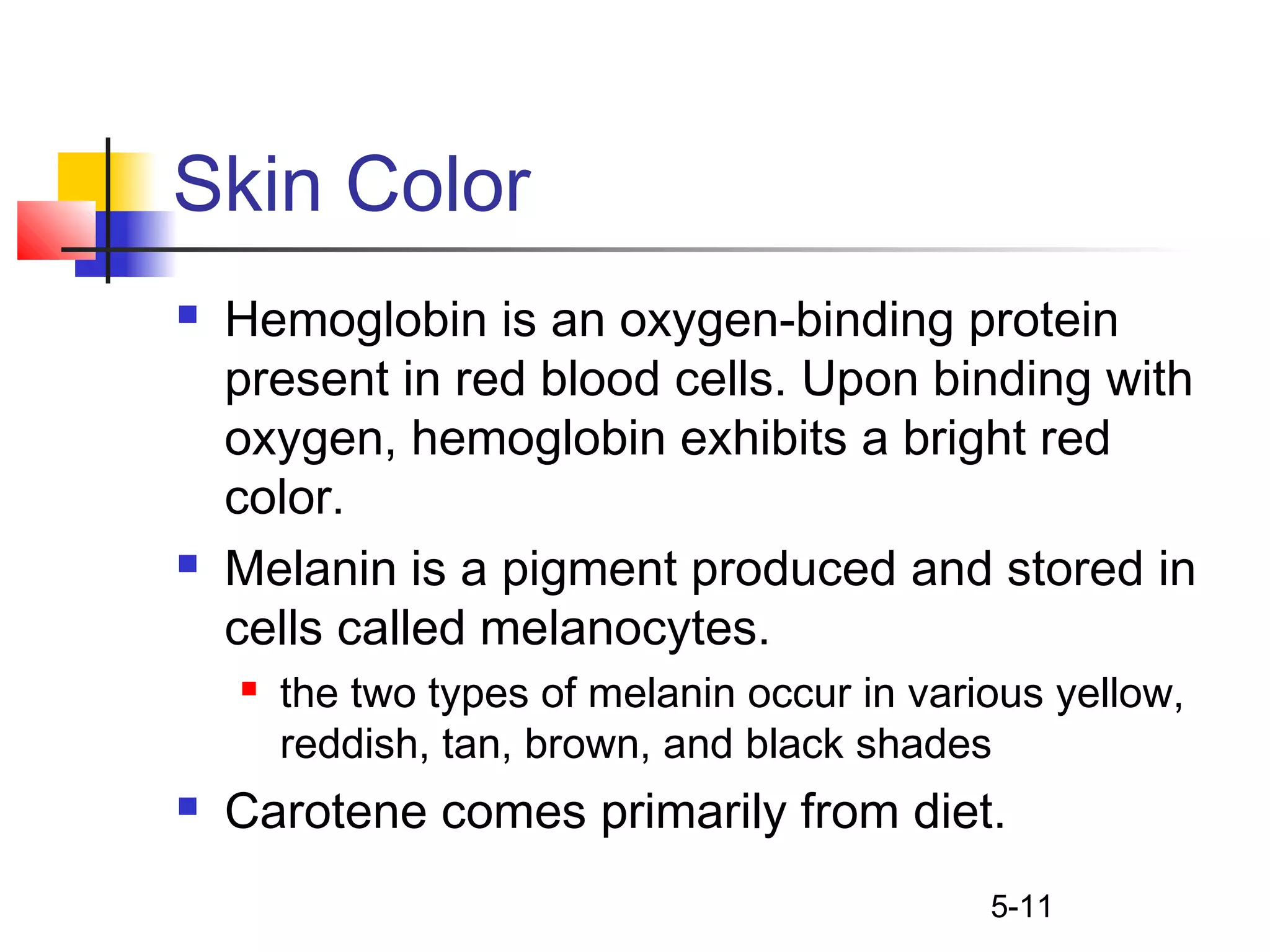 Integumentary system and its functions | PPT