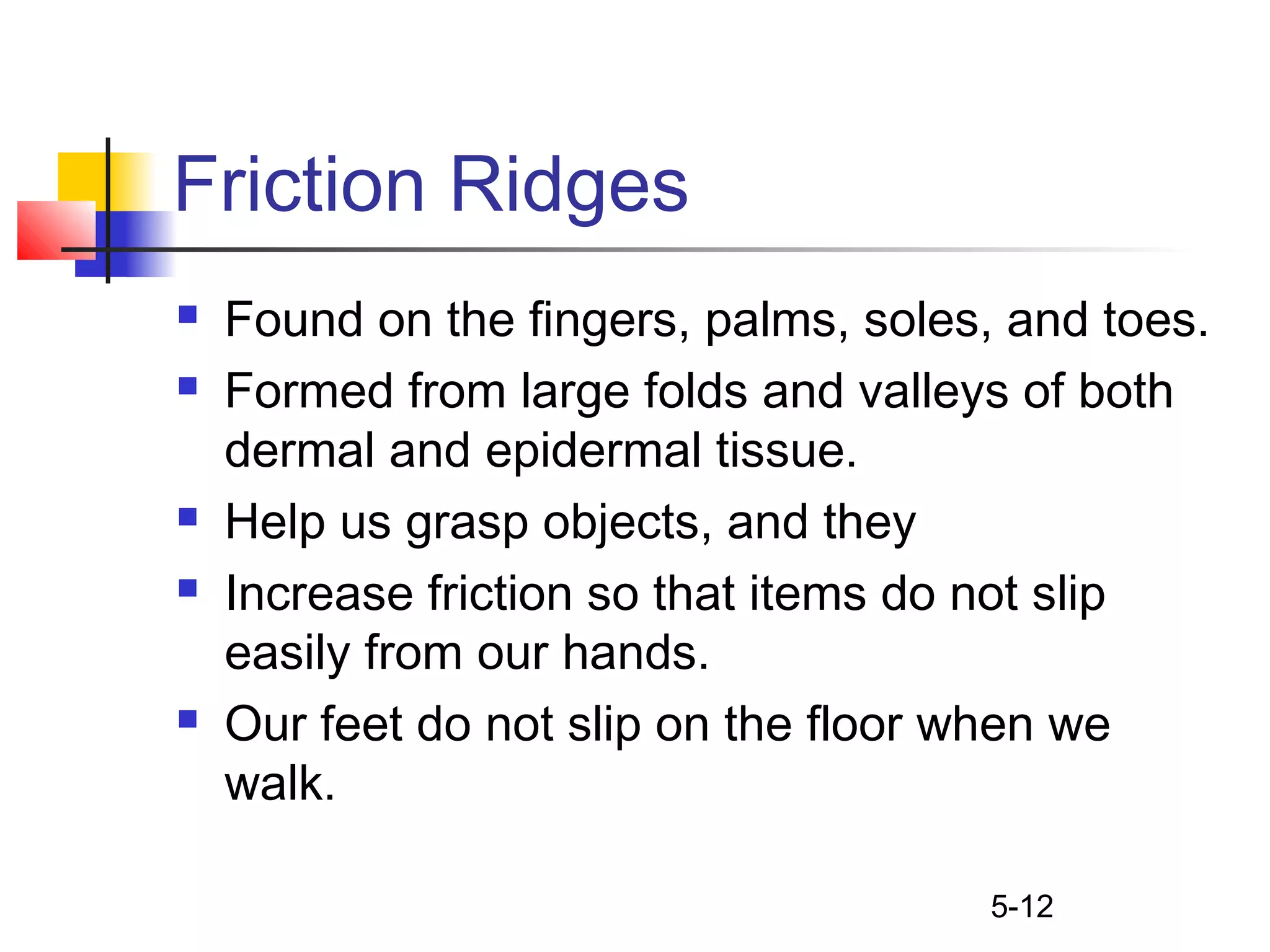 Integumentary system and its functions | PPT