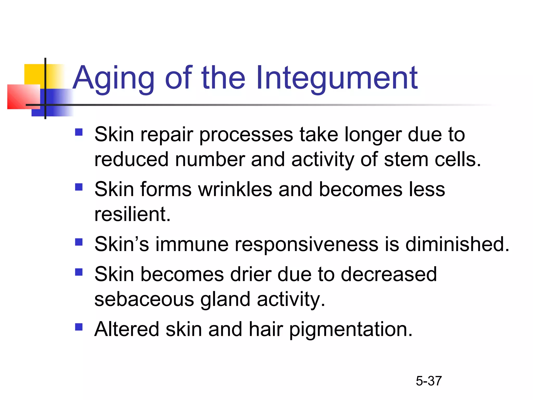 Integumentary system and its functions | PPT