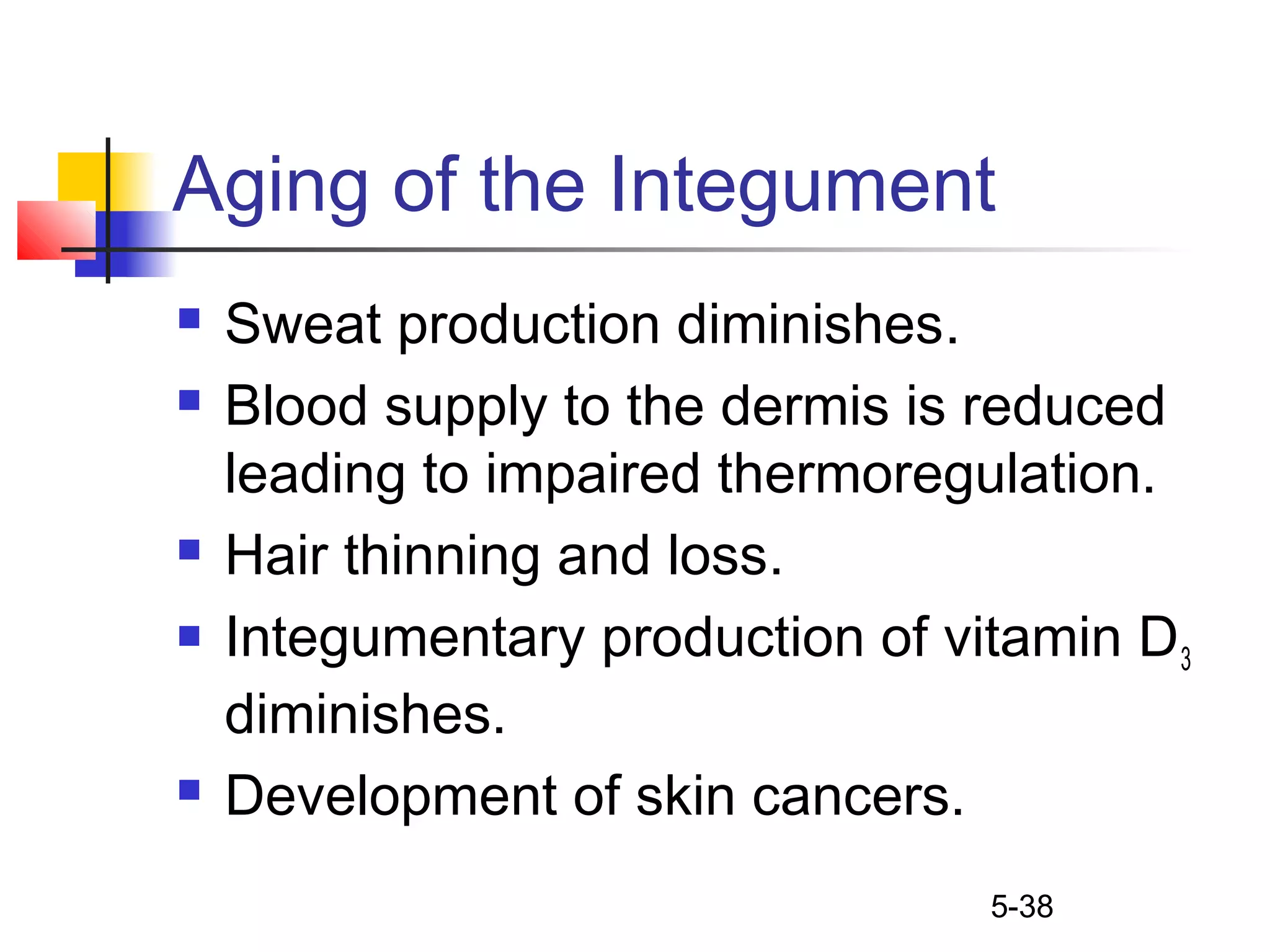 Integumentary system and its functions | PPT