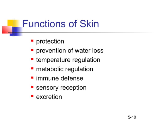 Integumentary system and its functions | PPT