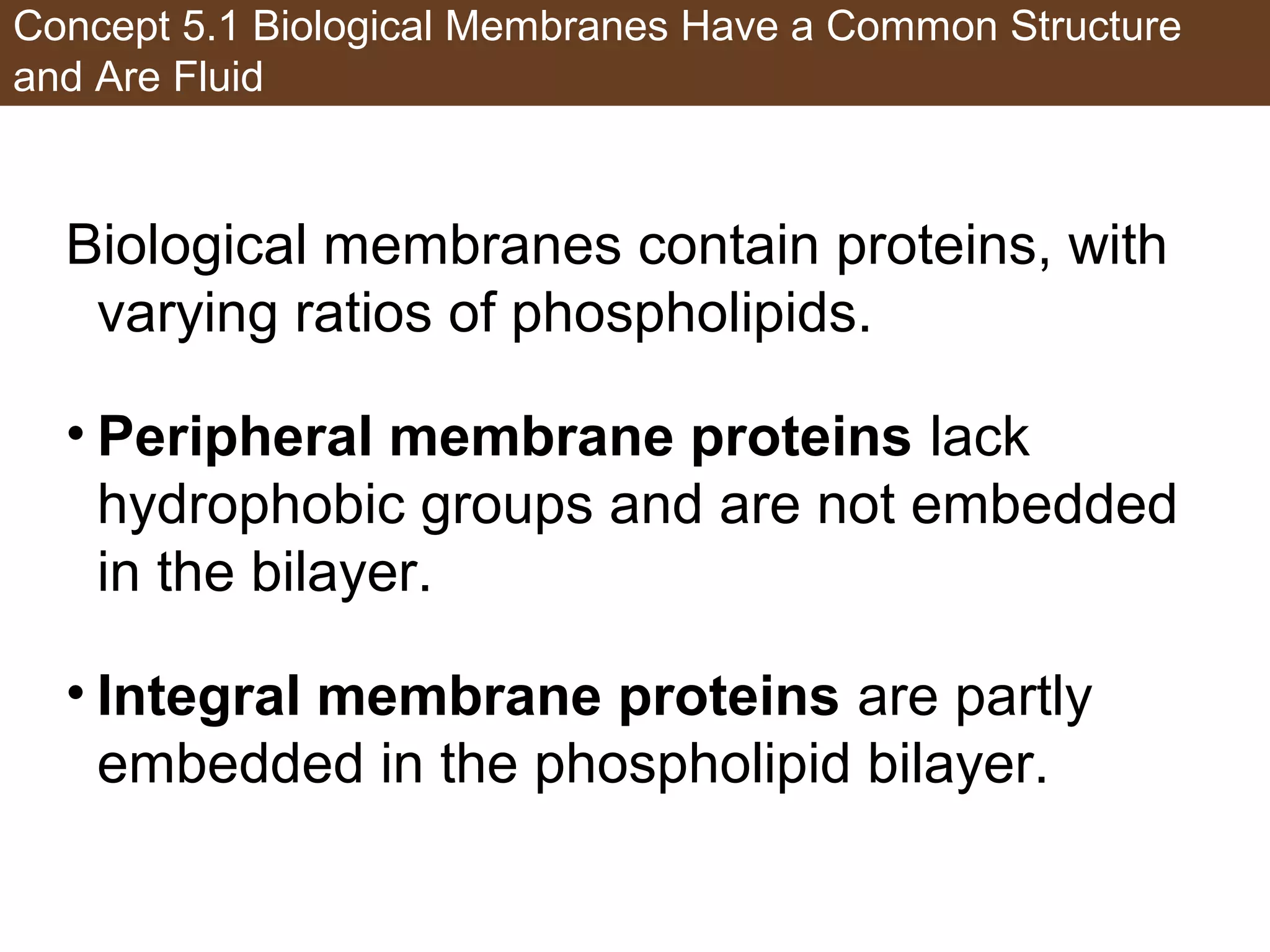 AP Biology Chapter 5 Cell Membranes and Signalling | PPT