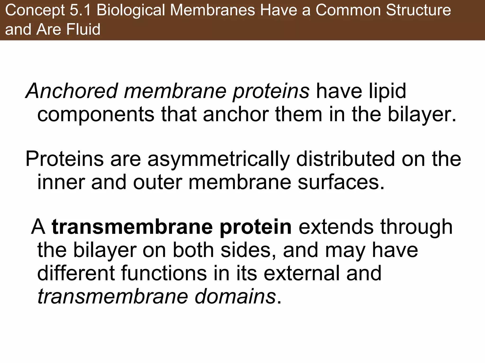 AP Biology Chapter 5 Cell Membranes and Signalling | PPT