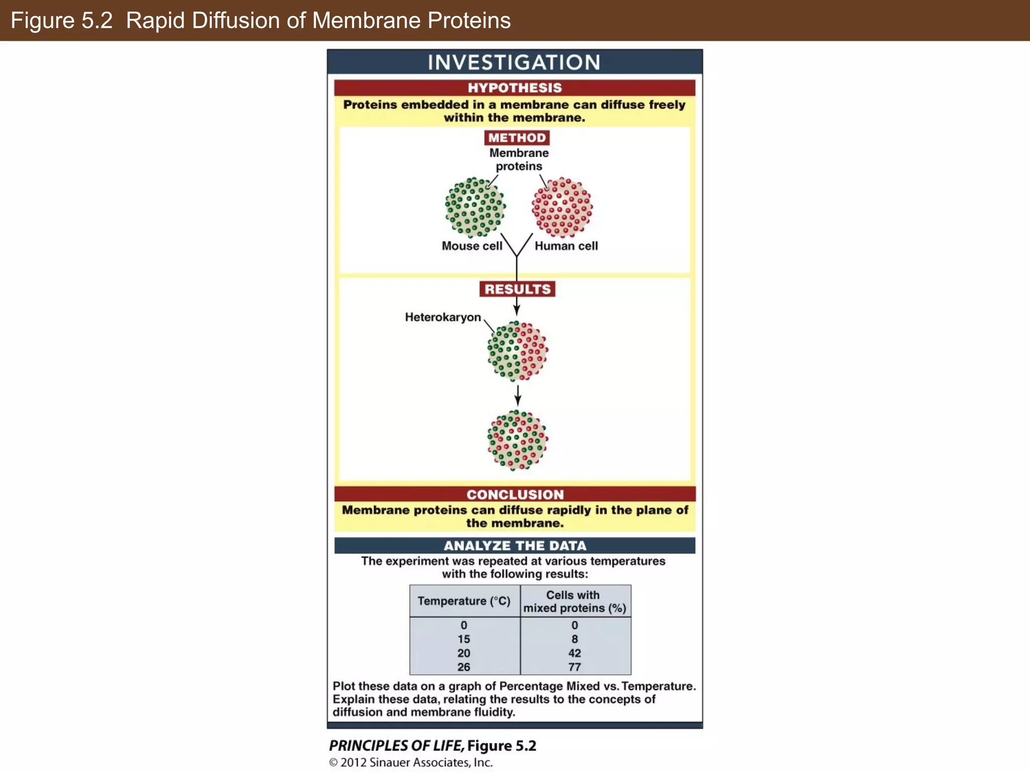 AP Biology Chapter 5 Cell Membranes and Signalling | PPT