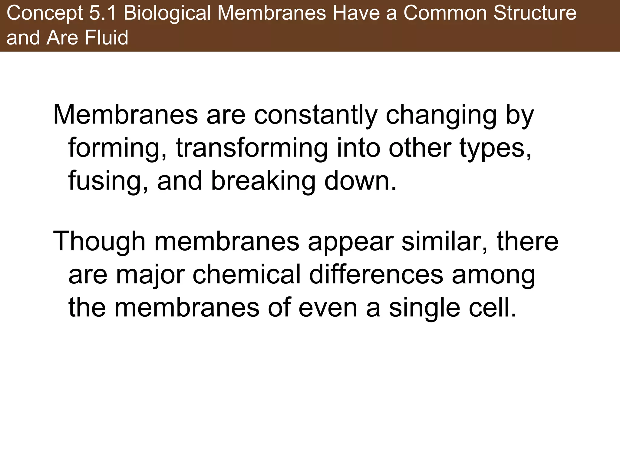 AP Biology Chapter 5 Cell Membranes and Signalling | PPT | Biological ...