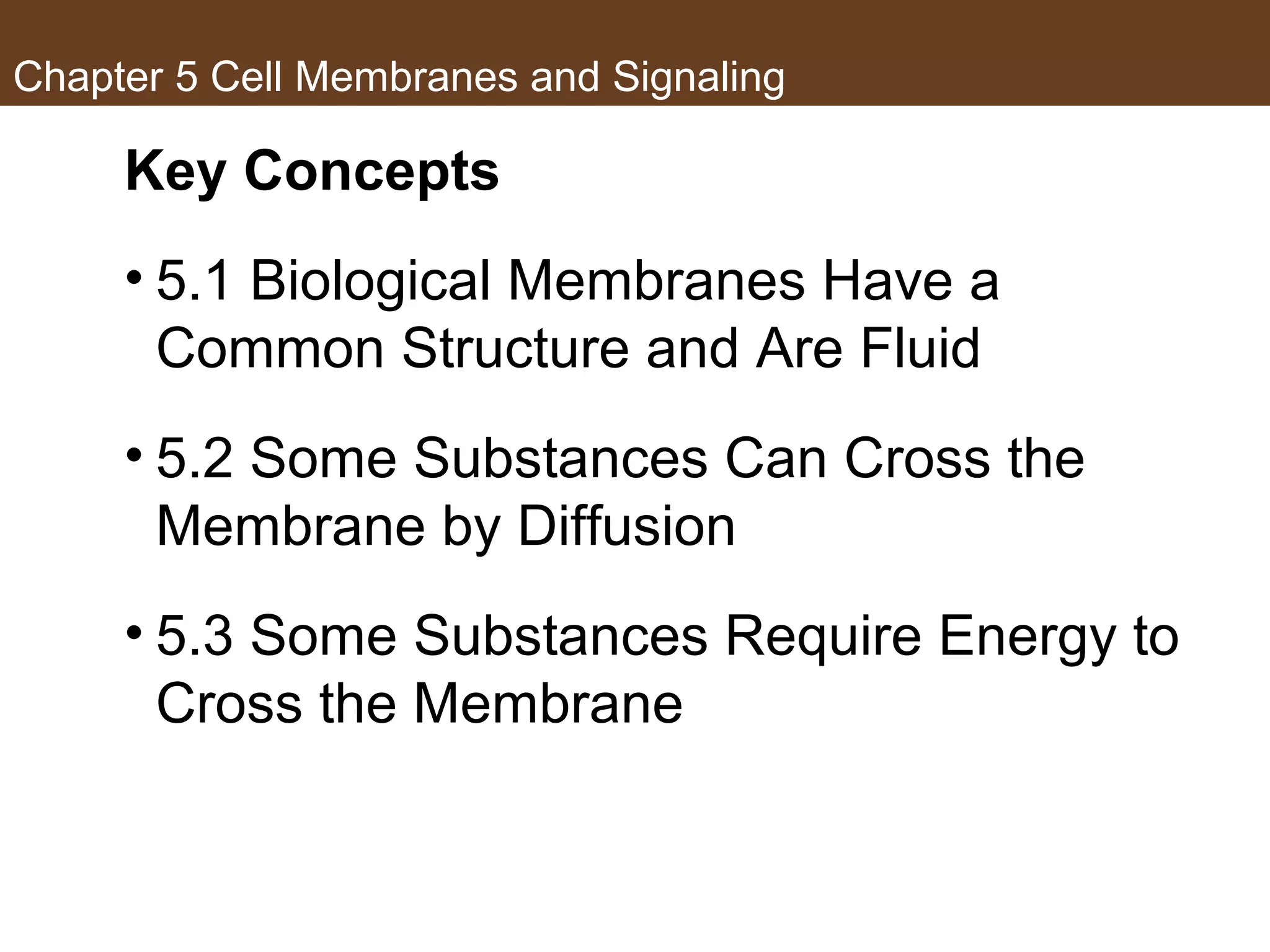 AP Biology Chapter 5 Cell Membranes and Signalling | PPT