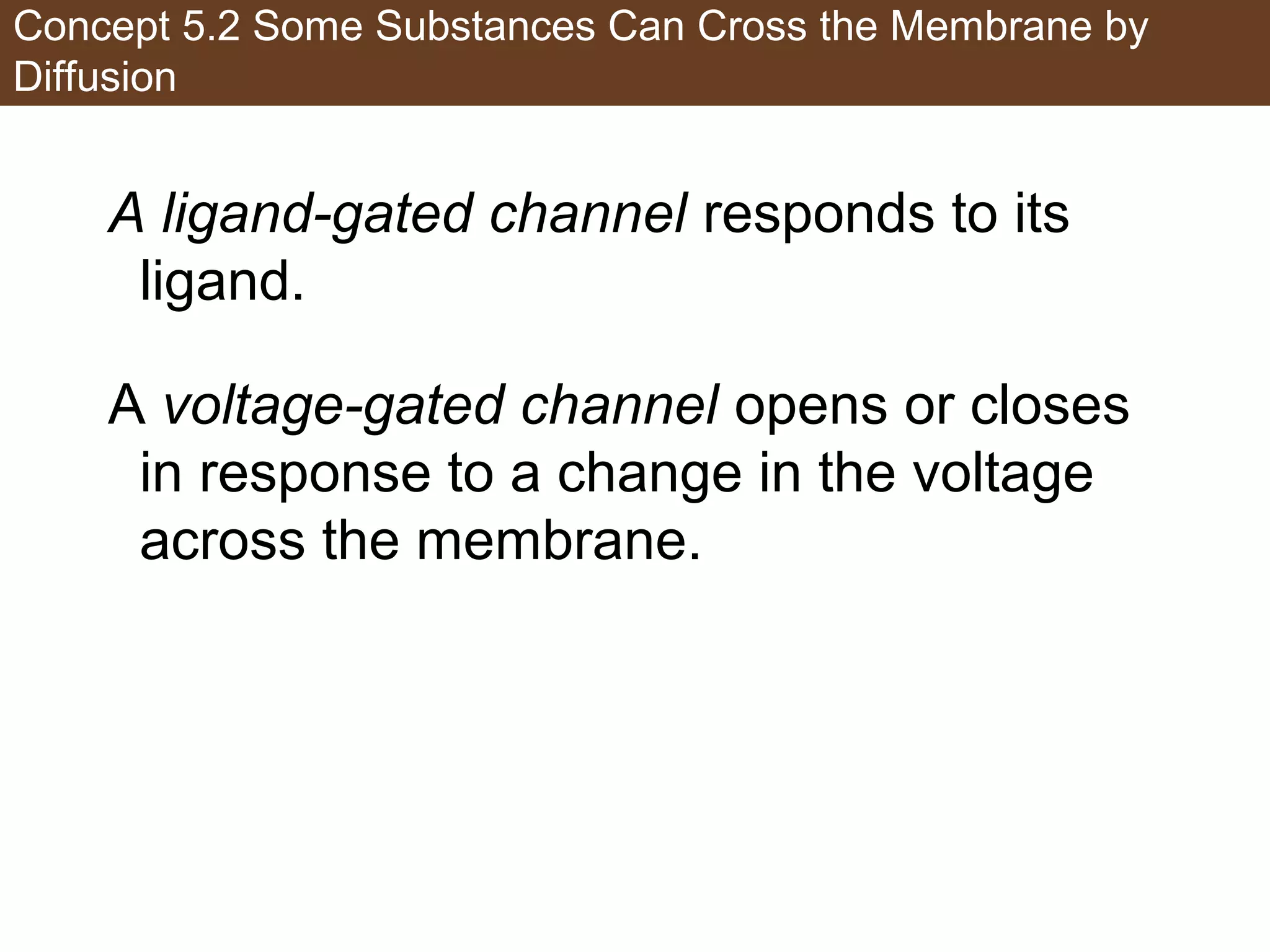 AP Biology Chapter 5 Cell Membranes and Signalling | PPT