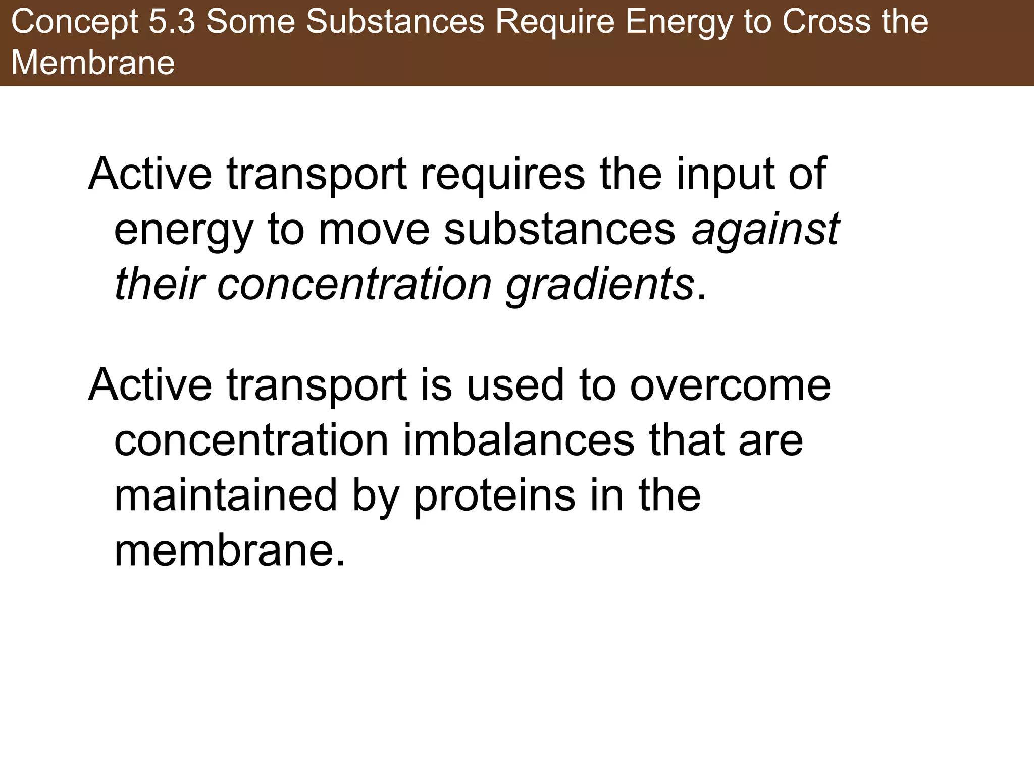 AP Biology Chapter 5 Cell Membranes and Signalling | PPT
