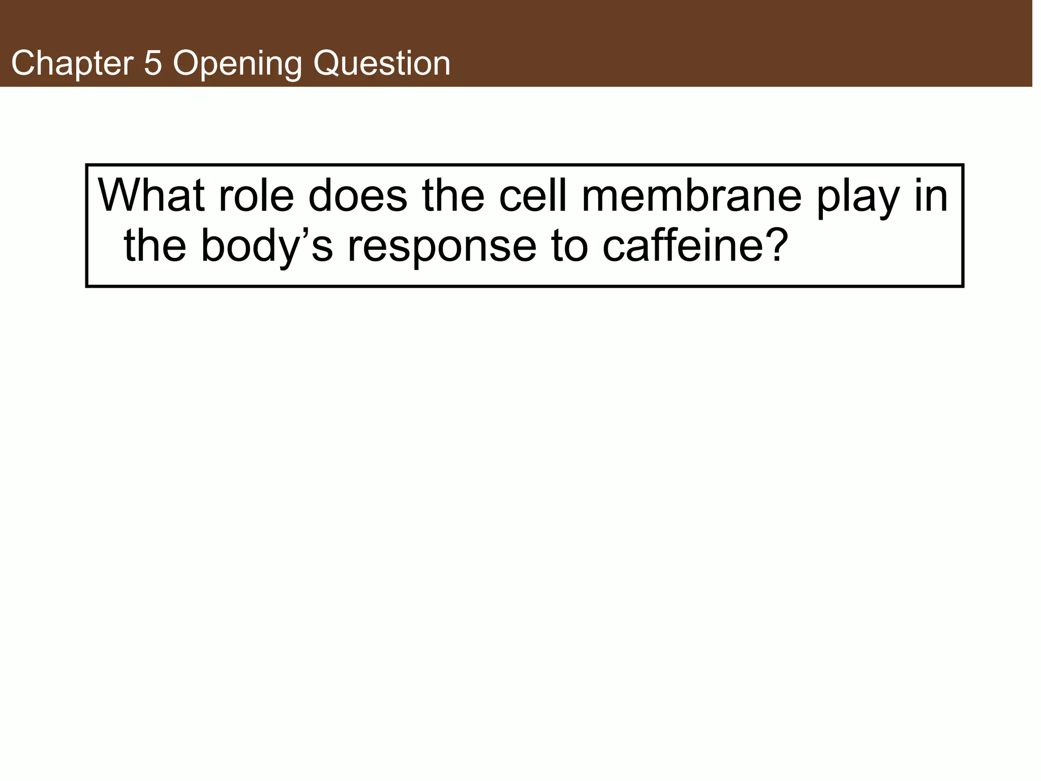 AP Biology Chapter 5 Cell Membranes and Signalling | PPT