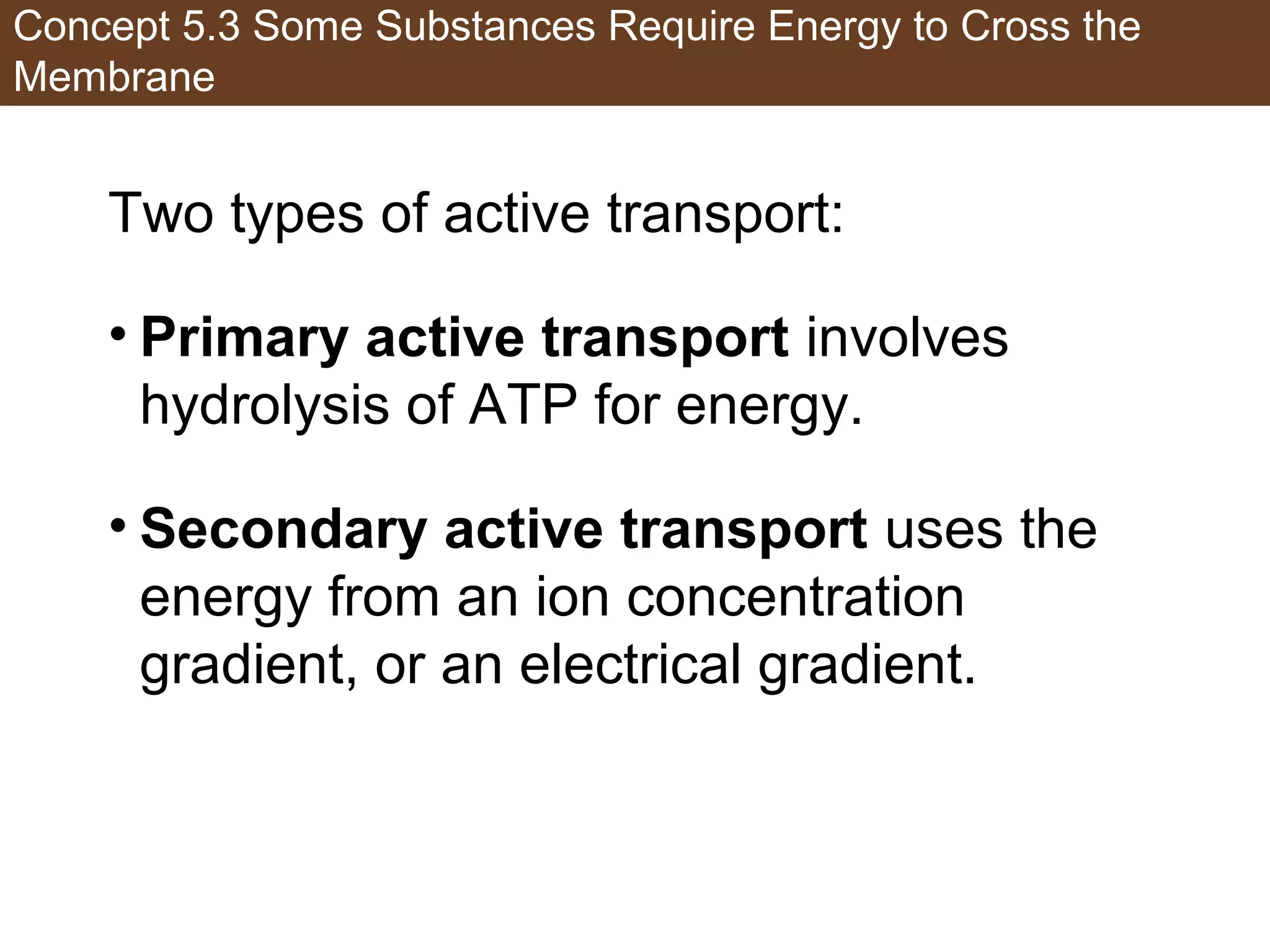 AP Biology Chapter 5 Cell Membranes and Signalling | PPT
