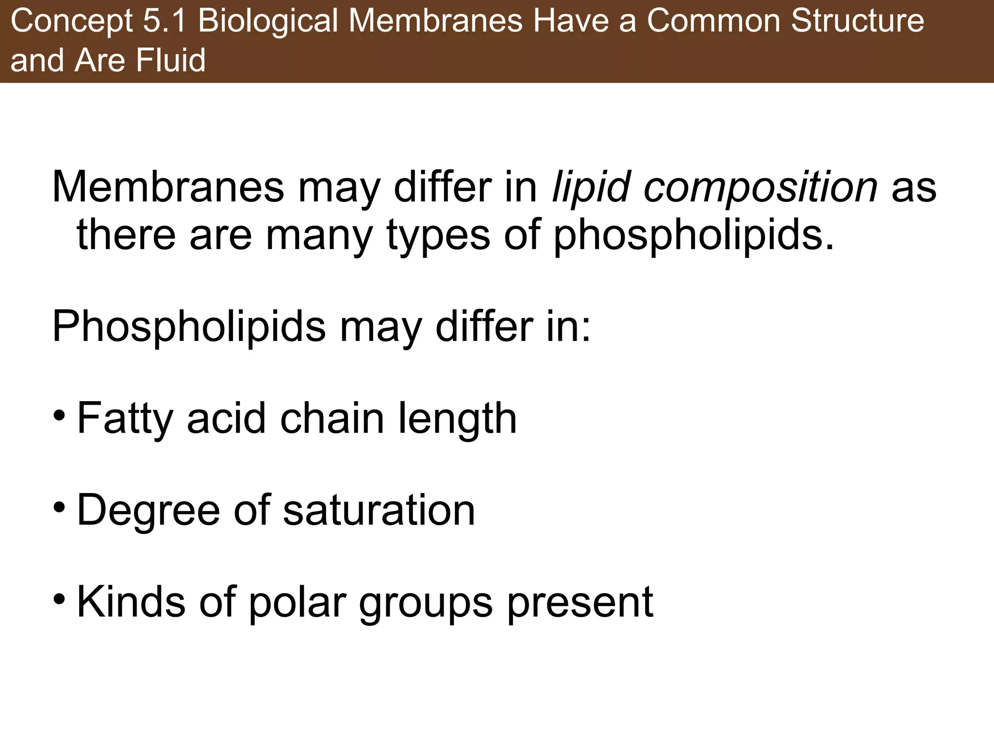 AP Biology Chapter 5 Cell Membranes and Signalling | PPT