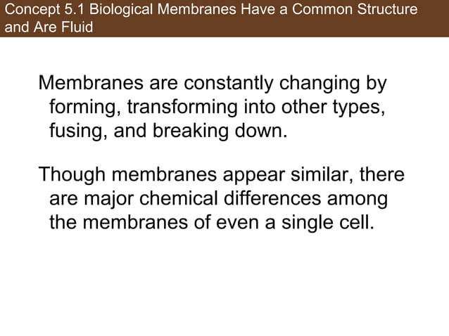 AP Biology Chapter 5 Cell Membranes and Signalling | PPT | Biological ...