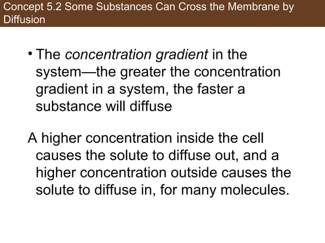 AP Biology Chapter 5 Cell Membranes and Signalling | PPT | Biological ...