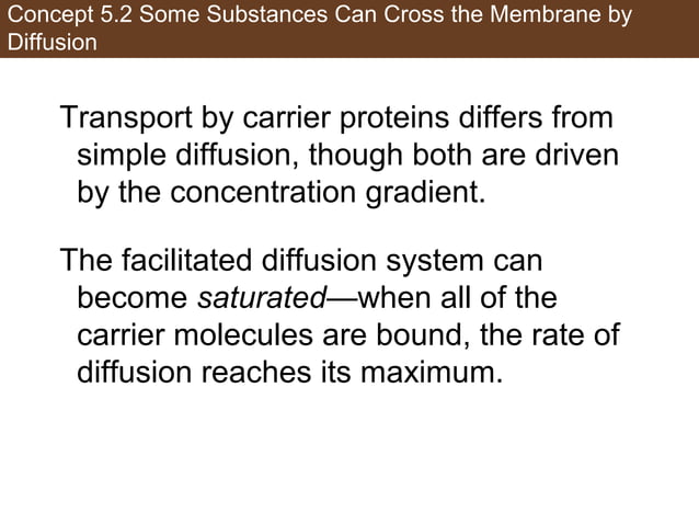 AP Biology Chapter 5 Cell Membranes and Signalling | PPT | Biological ...