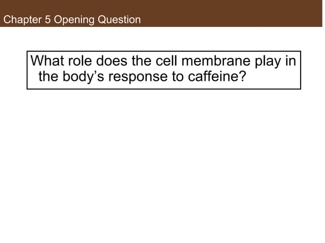 AP Biology Chapter 5 Cell Membranes and Signalling | PPT | Biological ...