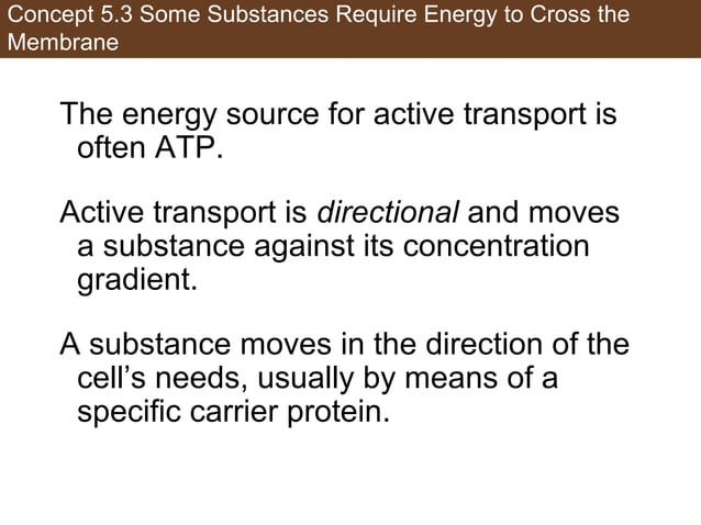 AP Biology Chapter 5 Cell Membranes and Signalling | PPT | Biological ...