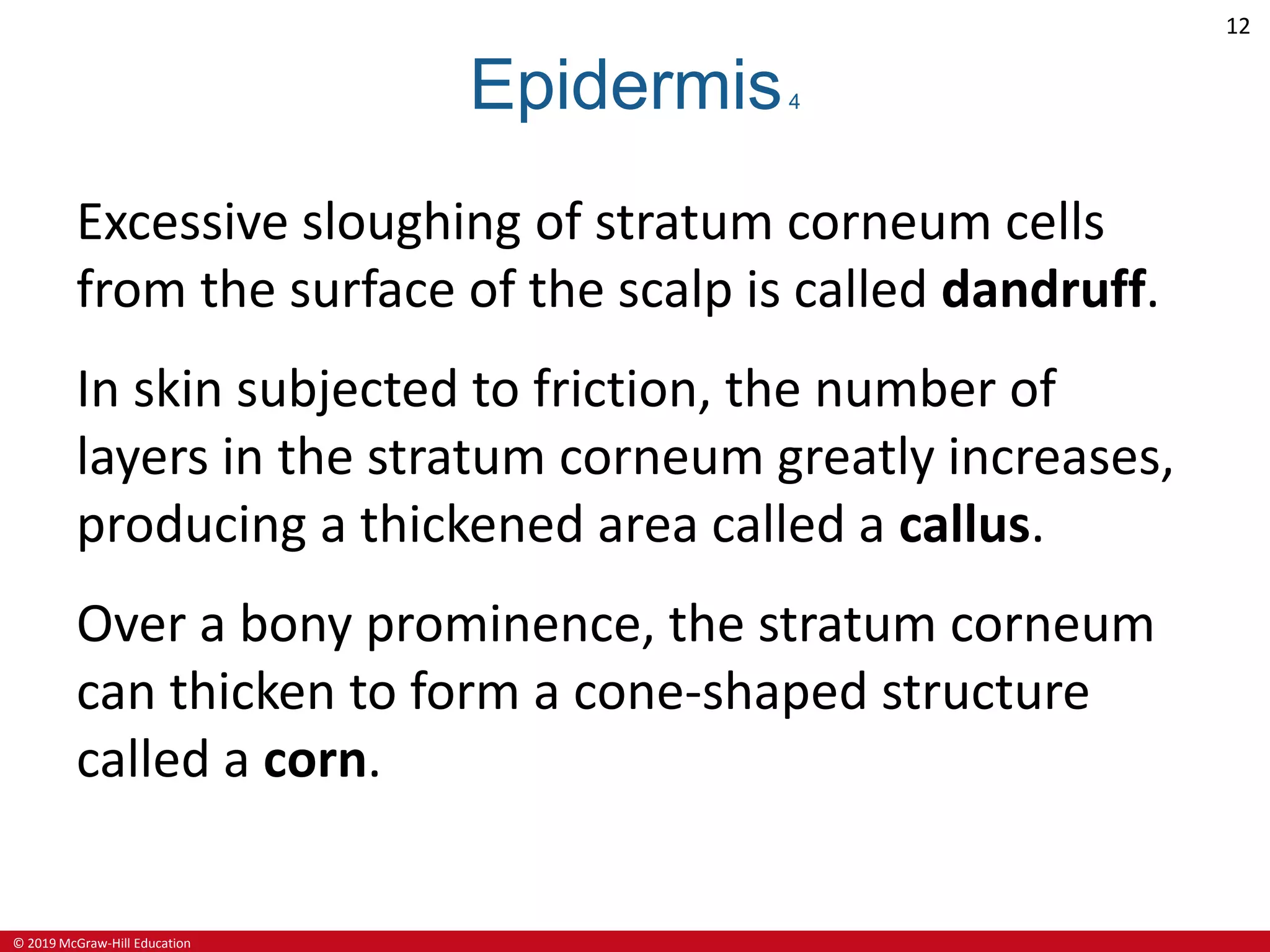 Ch05 lecture ppt_a | PPTX