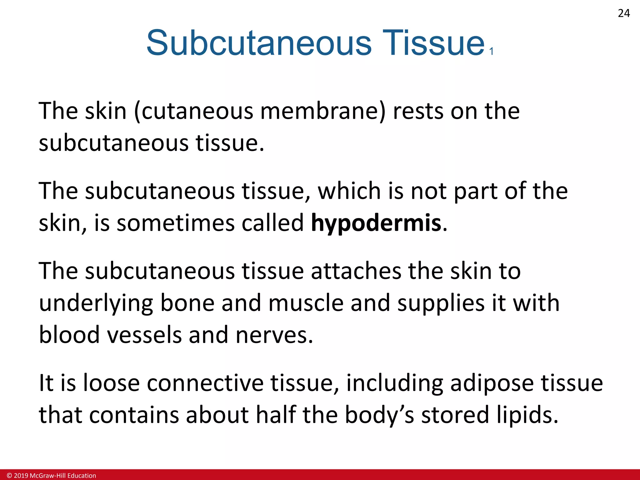 Ch05 lecture ppt_a | PPTX