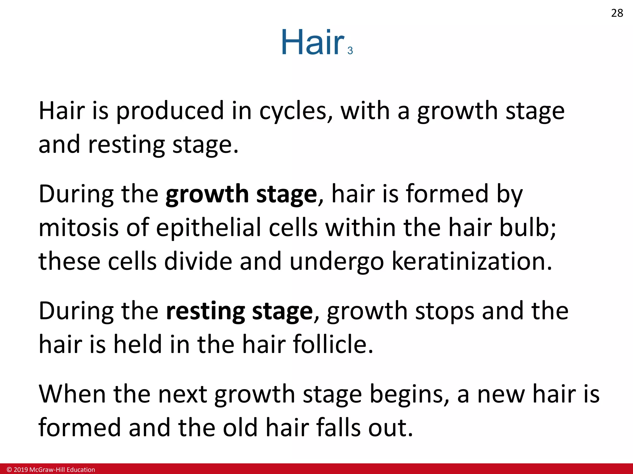 Ch05 lecture ppt_a | PPTX