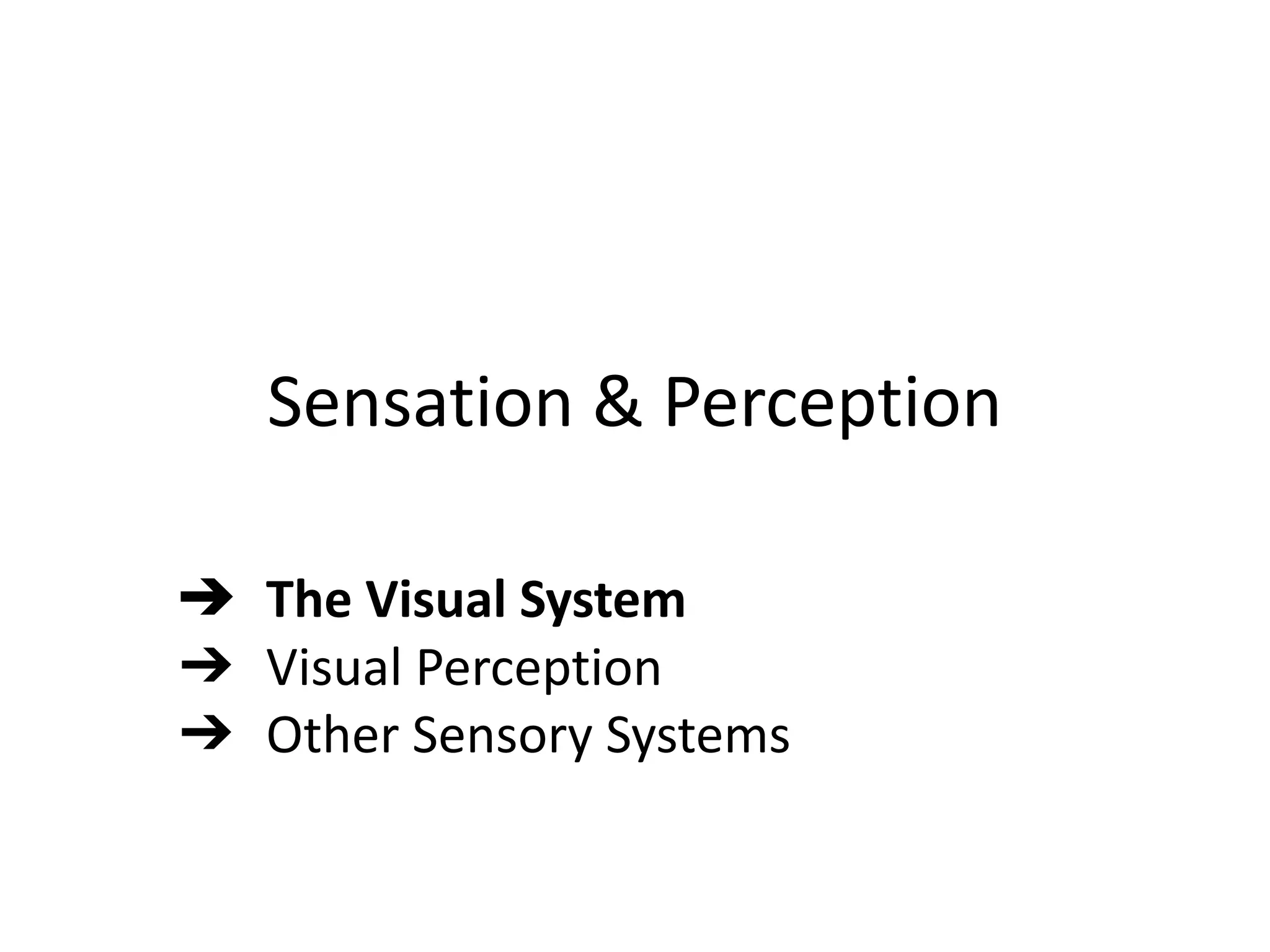 Ch05 Sensation & Perception | PDF