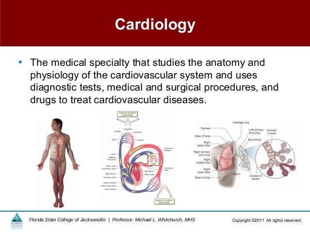 Cardiovascular System | Cardiology