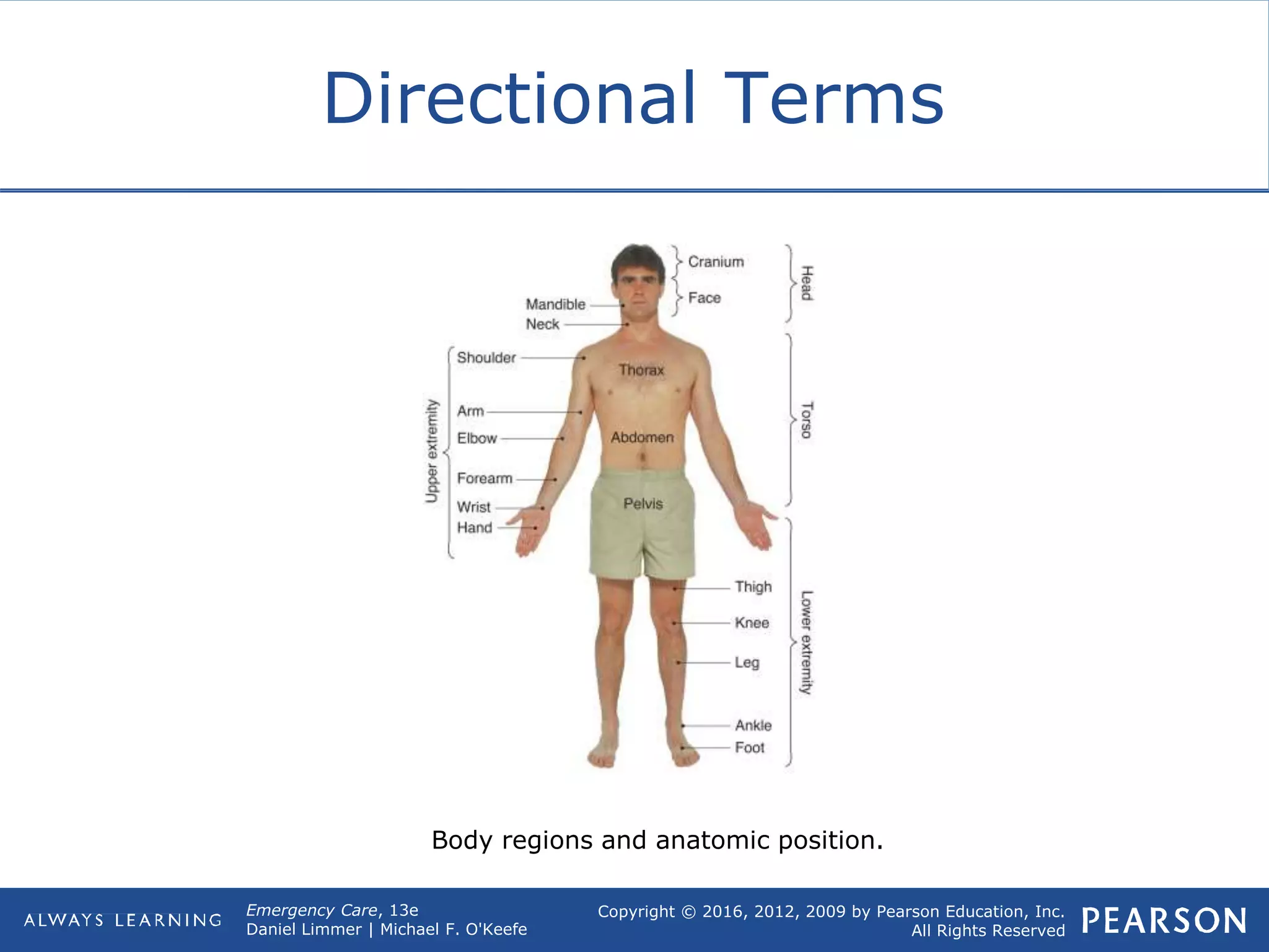 Ch05 medical term | PPT
