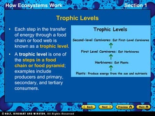 Ch05 sec1 revised araki | PPT