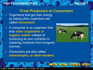 Ch05 sec1 revised araki | PPT