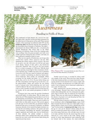 Ch_06.pdf or educators and concerned body | PDF | Woodworking | Arts and Crafts