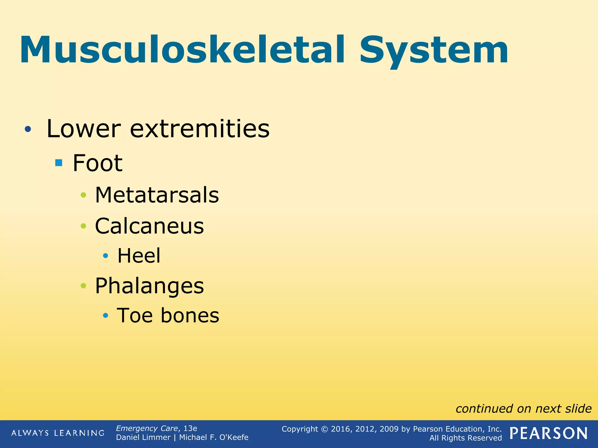 Ch06 anatomy | PPT | Bone and Joint Conditions | Diseases and Conditions