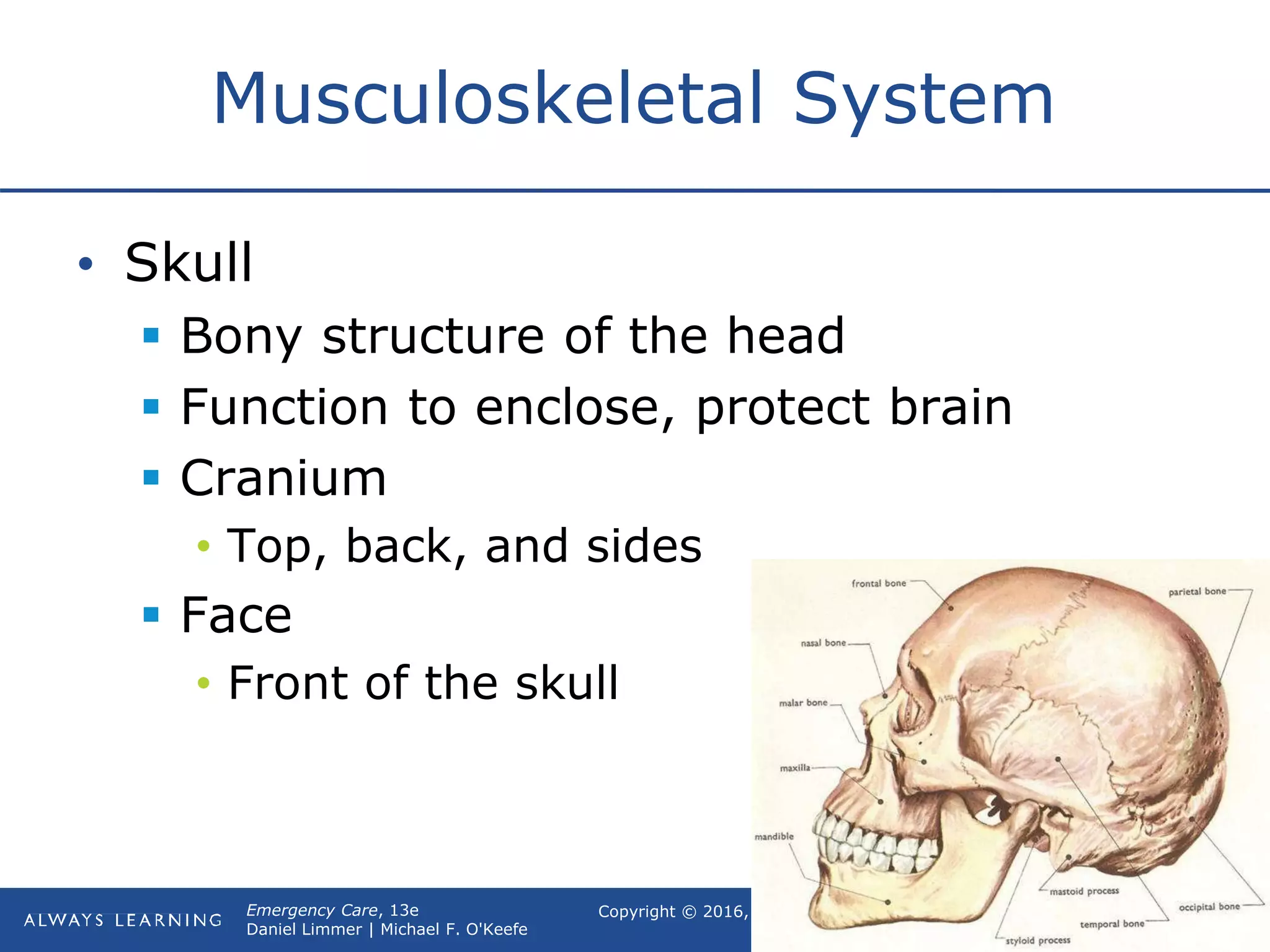 Ch06 anatomy | PPT | Bone and Joint Conditions | Diseases and Conditions