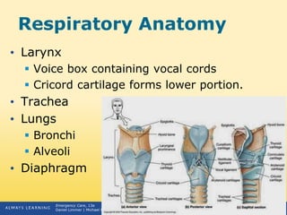 Ch06 anatomy | PPT