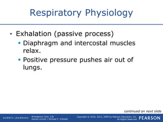Ch06 anatomy | PPT