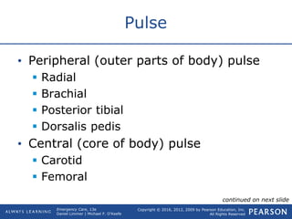 Ch06 anatomy | PPT