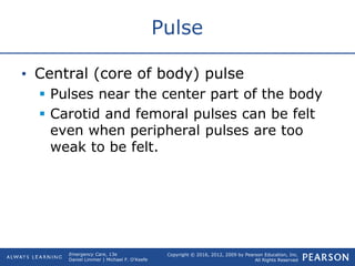 Ch06 anatomy | PPT