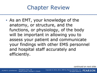 Ch06 anatomy | PPT