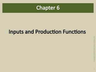 Chapter 6 Inputs and Production Functions | PPTX