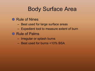 BURNS | PPTX