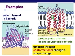 Cell Membrane | PPT