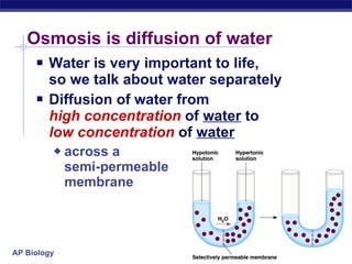 Cell Membrane | PPT