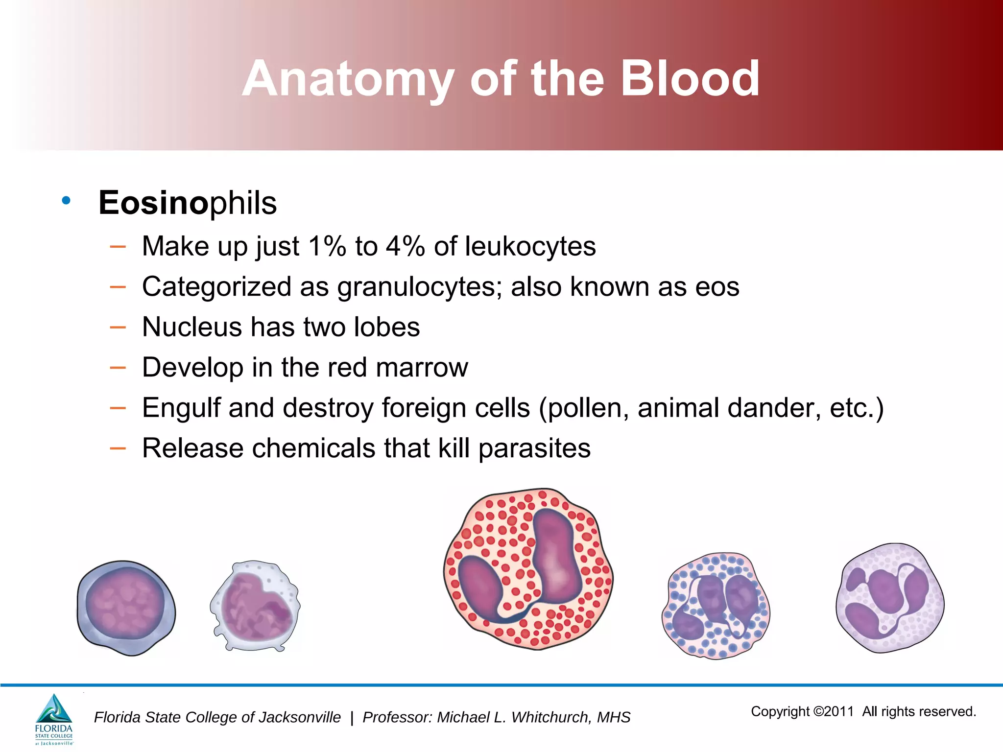 Blood and Immune System | PPT