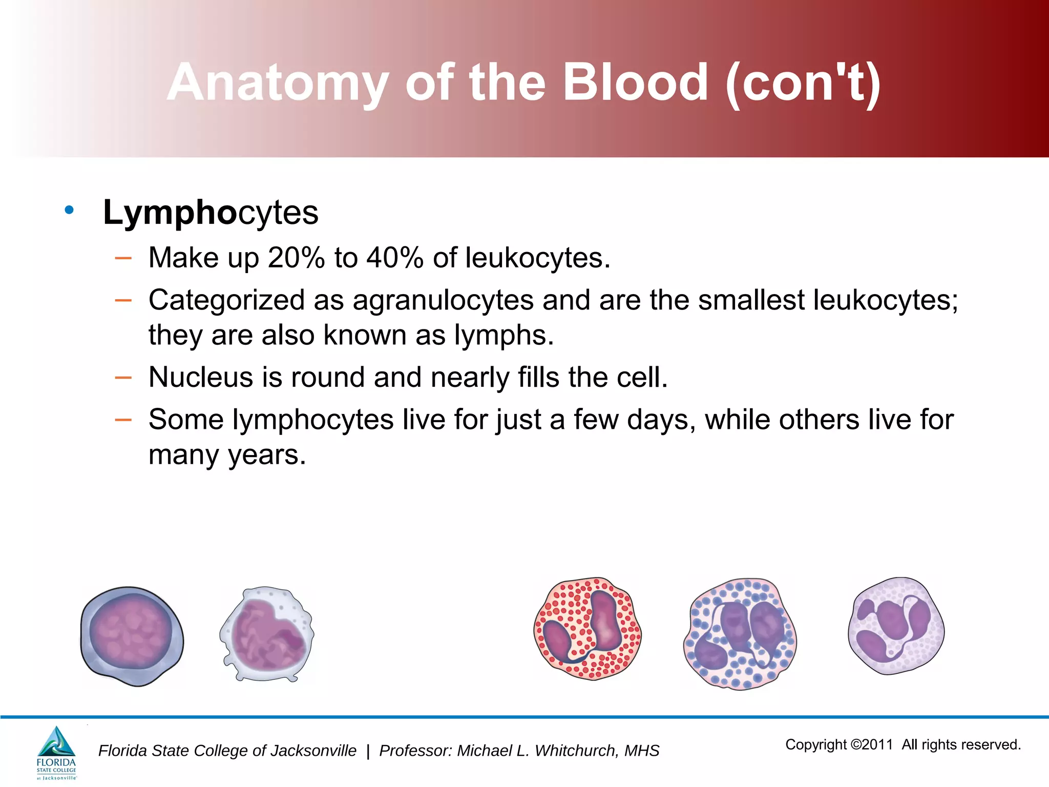 Blood and Immune System | PPT