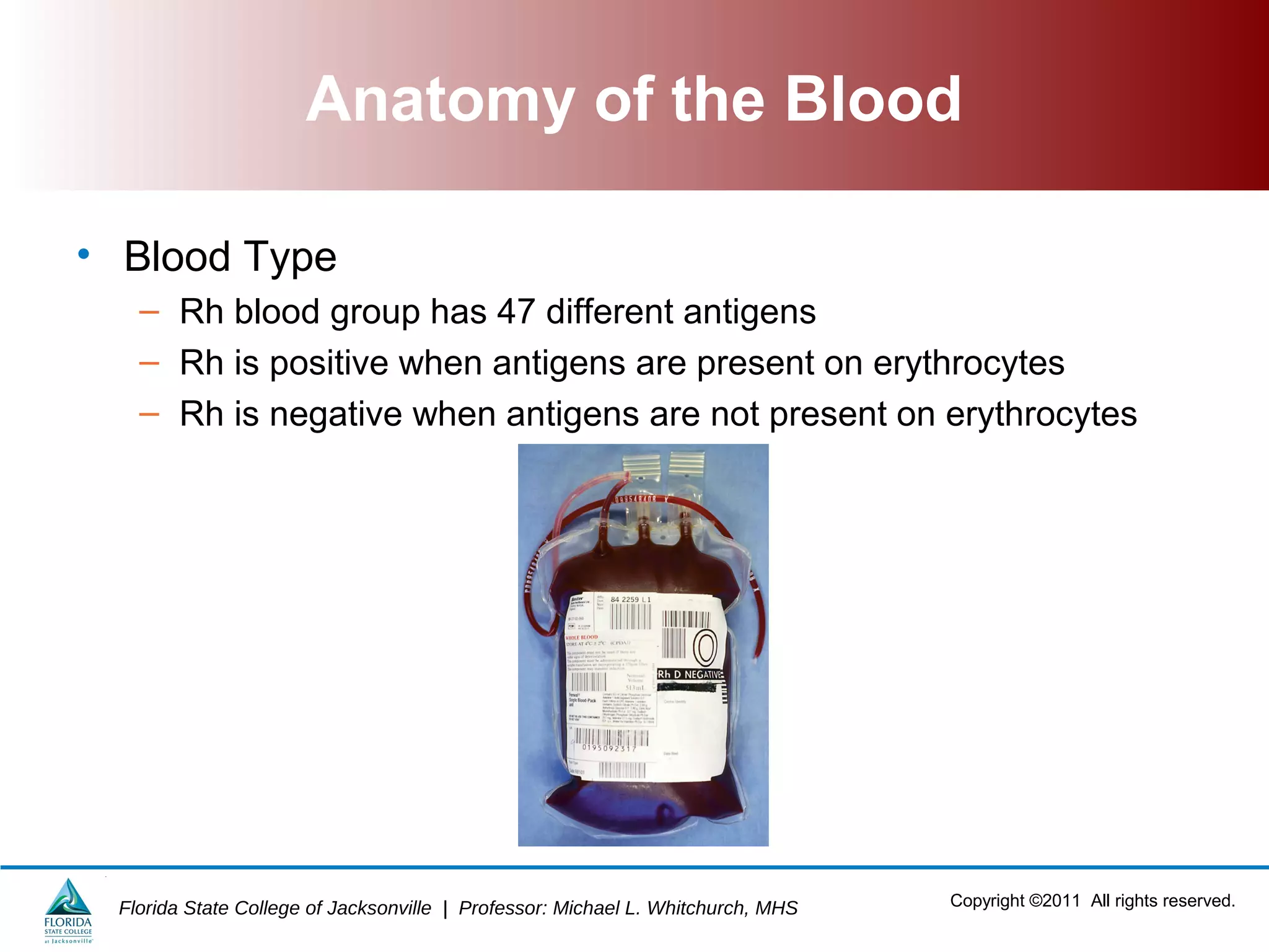 Blood and Immune System | PPT